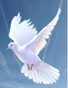 Thomas Reid - MD Walker Funeral Home