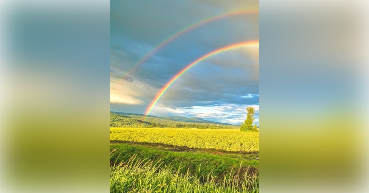 Obituary information for Edward A. Raber