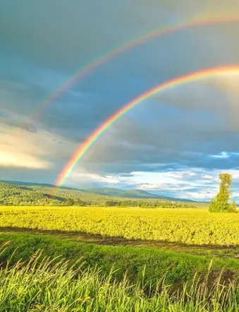 Obituary information for Edward A. Raber