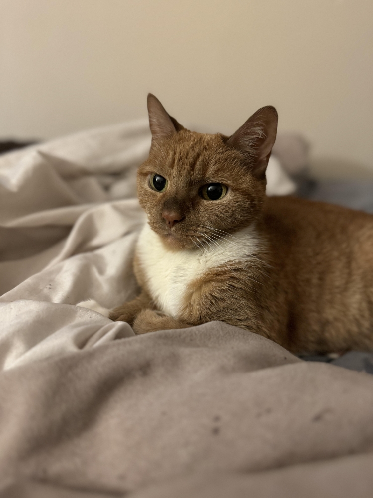 Piper Baker - 2023 - Paw Prints Forever