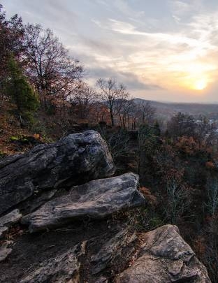 Brenda Lee Hall - 2023 - ScrivensJohnson Mortuary Service