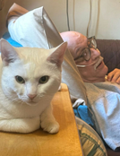 Timothy A. Belkowski - 2023 - J&J Spratt Funeral Home