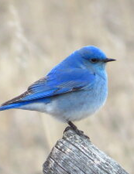 Patrick William Futter - 2023 - Burns Mortuary of Pendleton