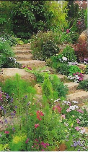 Diane Marie Racine - 2018 - Colonial Funeral Home