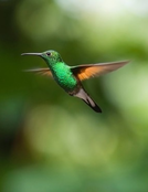 Miriam Riggan - 2023 - Buie Funeral Home