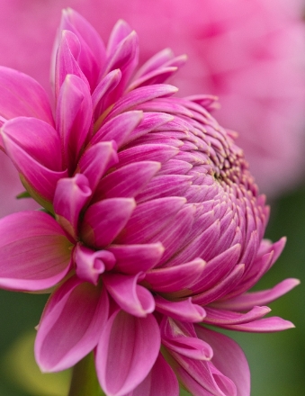 Kinley Funeral Home | Springfield & Cincinnati, OH Funeral Home & Cremation