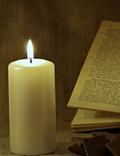 Olga Hammond - Darlington Cremation and Burial Service