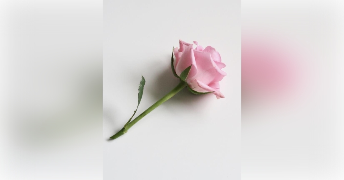 Obituary information for Brianna Rissler