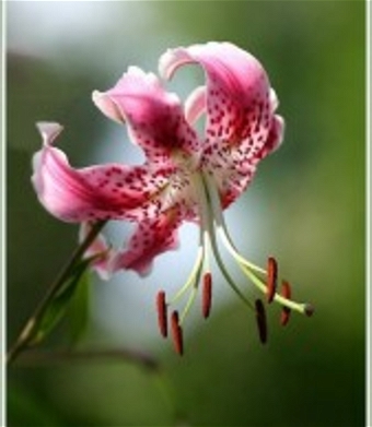 Edna Marie Wagner Obituary - 2023 - Anderson's Tribute Center