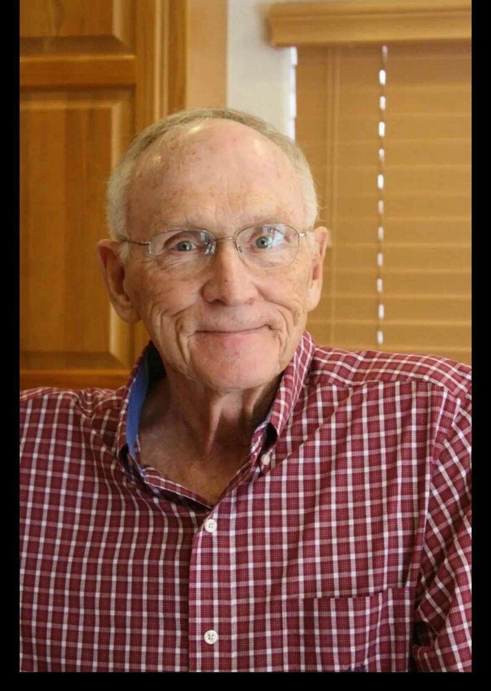 Wayne Bauer - Memories Trees