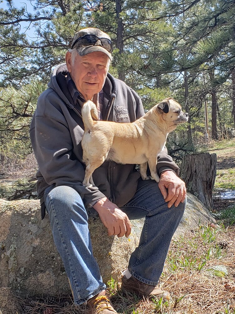 Charles Preston - Memories Trees