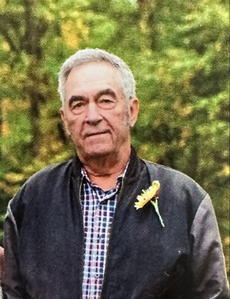 Donald Vollmer - Memories Trees