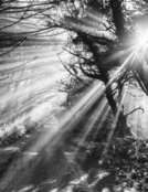 Robert Redinger - Darlington Cremation and Burial Service