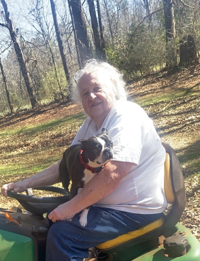 Nancy Brock - Memories Trees