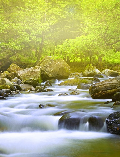 Dan D. Yoder, Jr. - 2024 - Miller Funeral Care