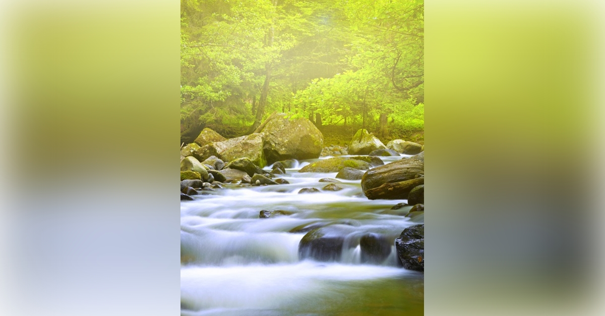 Obituary information for Dan D. Yoder, Jr.