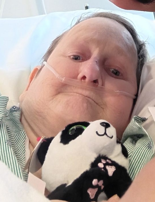 Diane Lynn Jones - 2024 - James ODonnell Funeral Home