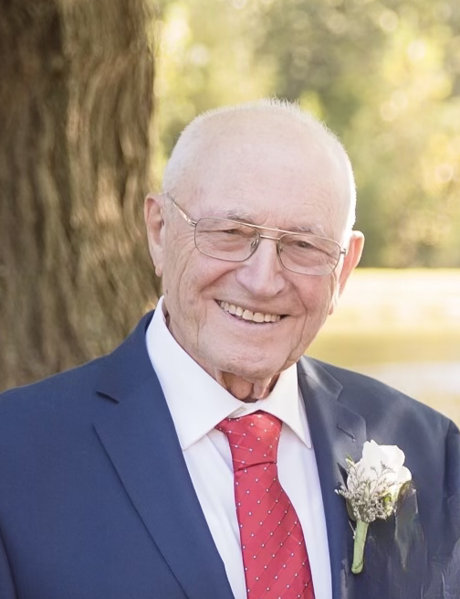 Dominick Ranieri - Memories Trees