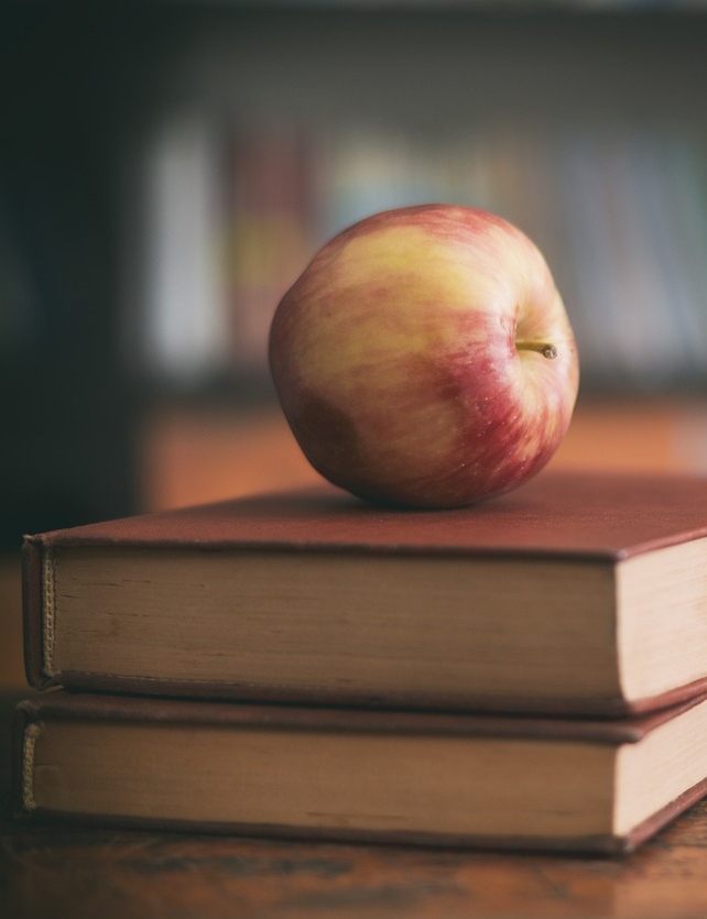 Suzanne C. Dickie - 2024 - Shannon Funeral Home and Cremation Services