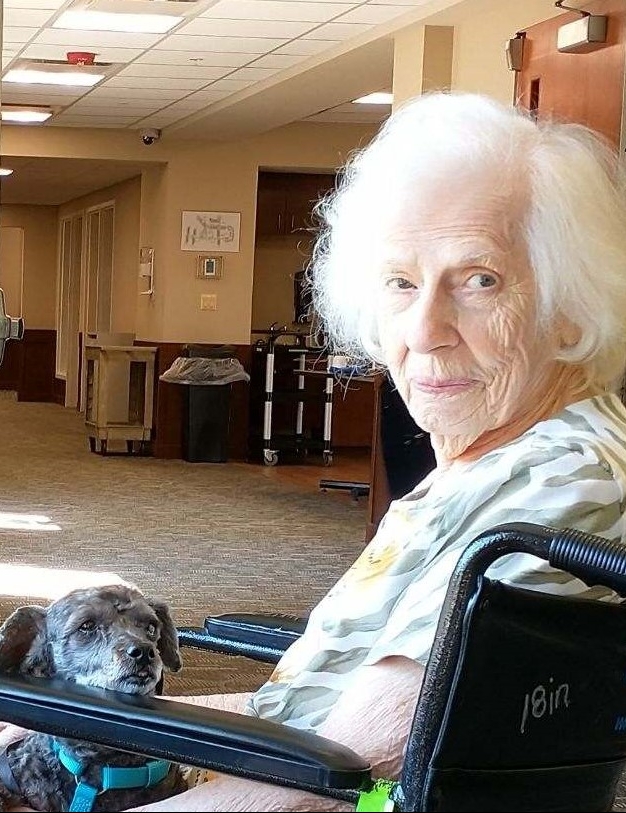 Katherine Giangrande - Memories Trees