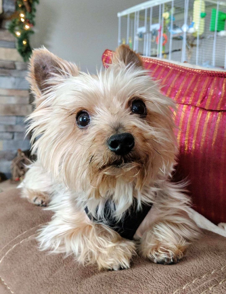 Ian Lamb - 2024 - prvereb@aol.com