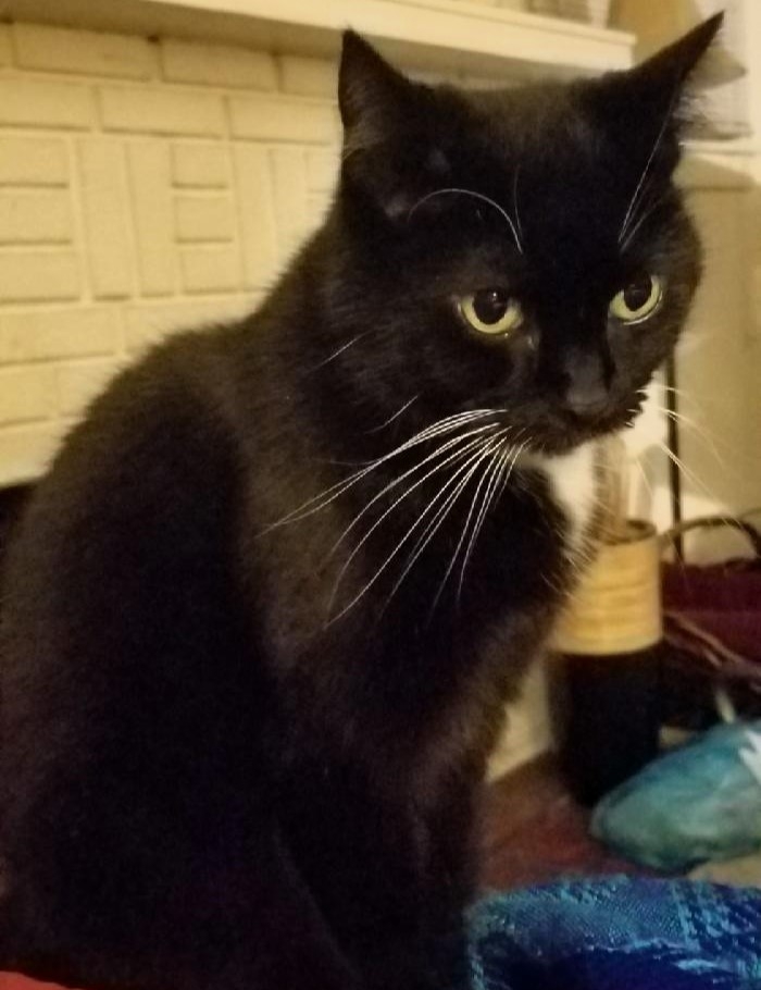 Kitty Carson - 2024 - prvereb@aol.com