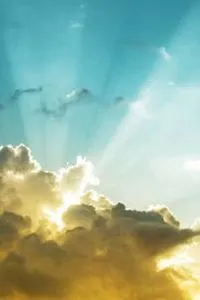 Joseph Piccolo - 2022 - Halo Cremations