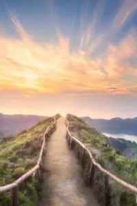 Walter David Partlow - 2022 - Halo Cremations