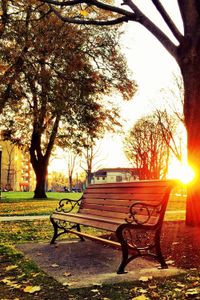 Henry Martone - 2023 - Halo Cremations