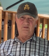 Matthew Graham - Memories Trees