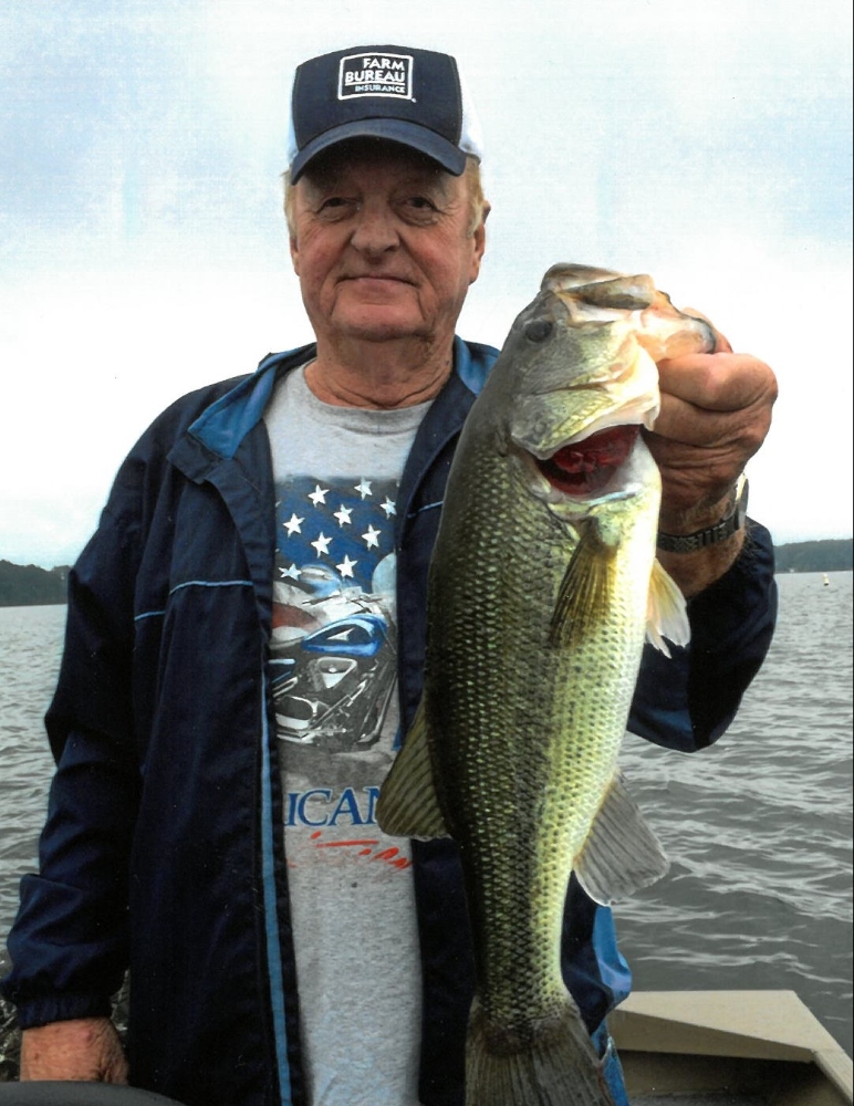 Harvey Wells - Memories Trees