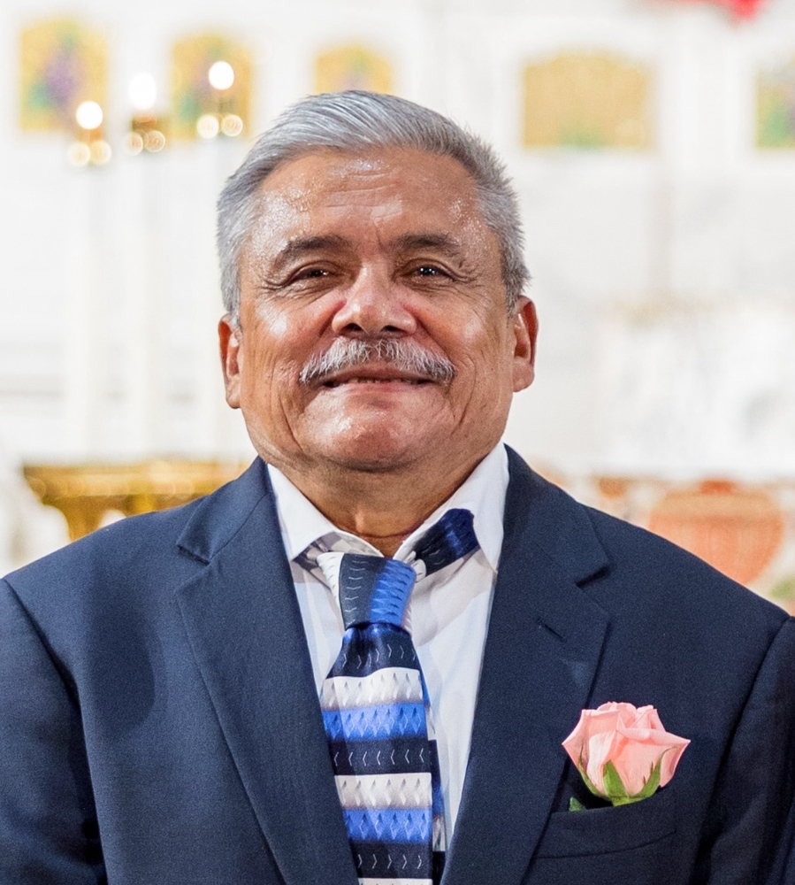 Francisco Lagunas - Memories Trees