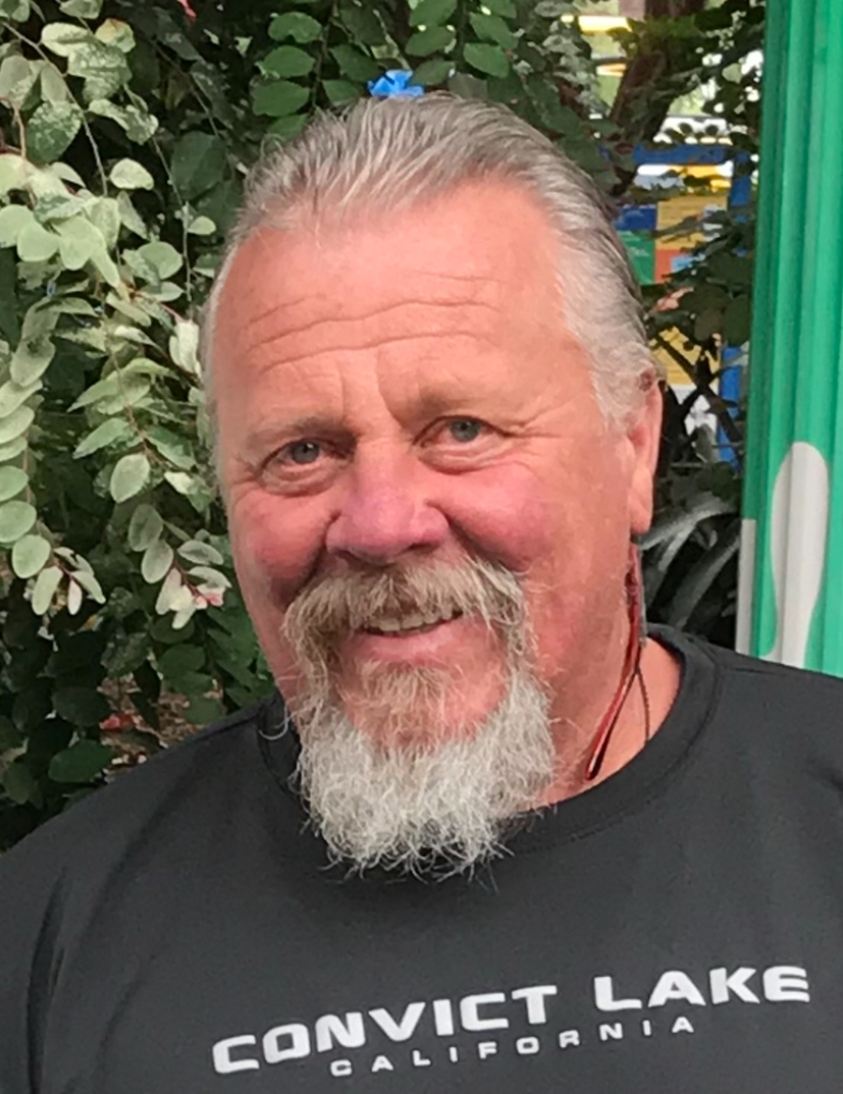 Dan Croy - Memories Trees