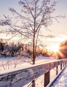 George "Bill" Hall - Darlington Cremation and Burial Service