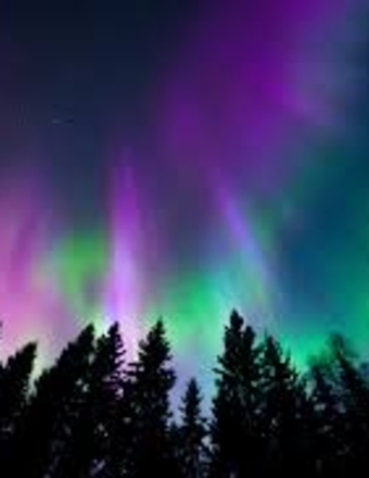 David Jackson Warren, Jr - 2024 - Cook Family Funeral Home