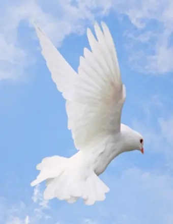 Anna Marie Brunner Obituary - 2024 - Jefferson Memorial