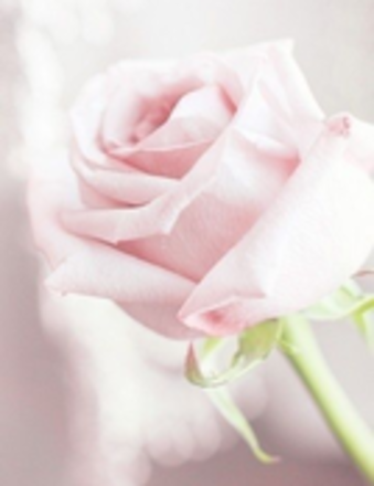 Dorothea King Obituary - 2024 - Michalski Funeral Home