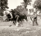 Clifford Manion - 2011 - Community Alternative Funeral & Cremation ...
