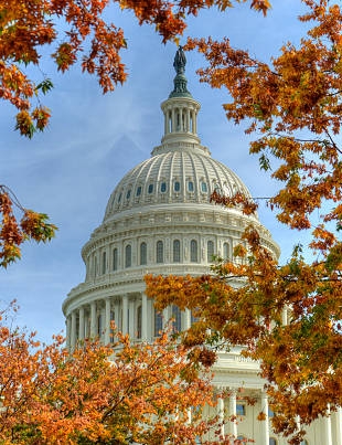 Merle Eugene Rogers Jr - 2024 - ScrivensJohnson Mortuary Service