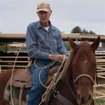 Bill Sherwood - 2020 - Vining Funeral Home