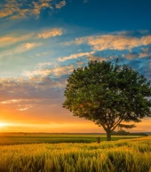 Brian Bernard McGowan - 2024 - Considerate Cremation & Burial Services Inc.