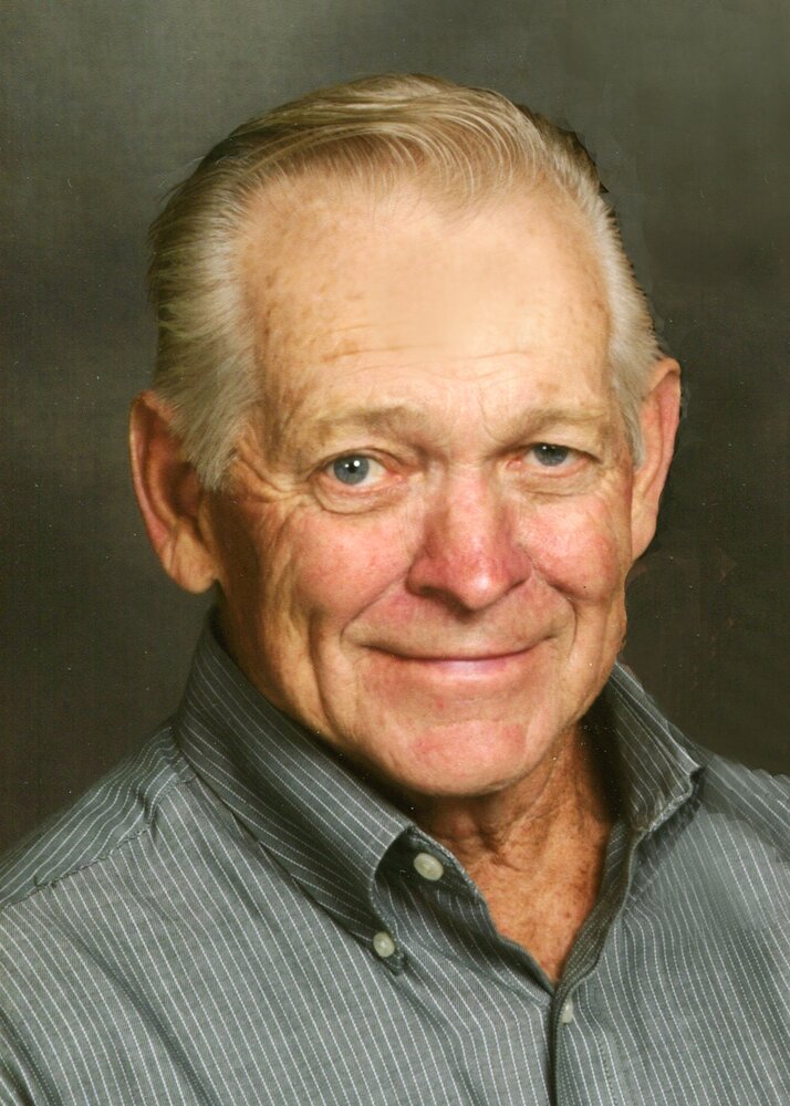 Phil Hogan - Memories Trees