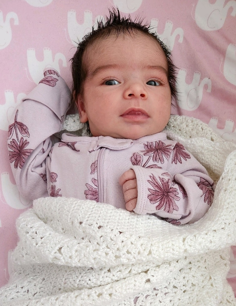 Saoirse Van Patten - Memories Trees