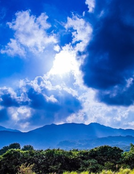 Albert Miller Jr - 2024 - The Richard W. Fritz Funeral Home