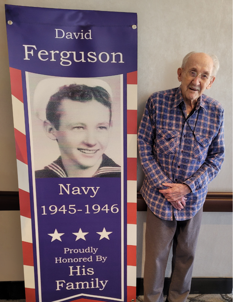 David Ferguson - Memories Trees