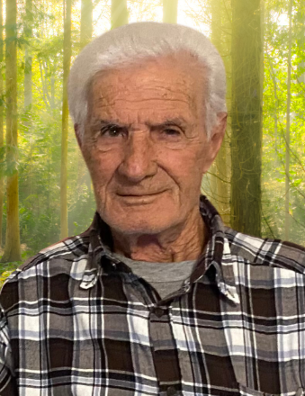 Domenico "Tony" A. Sanzo Obituary - 2024 - Edwards Dowdle Funeral Home