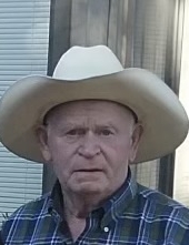 KENNETH JACKSON - Memories Trees