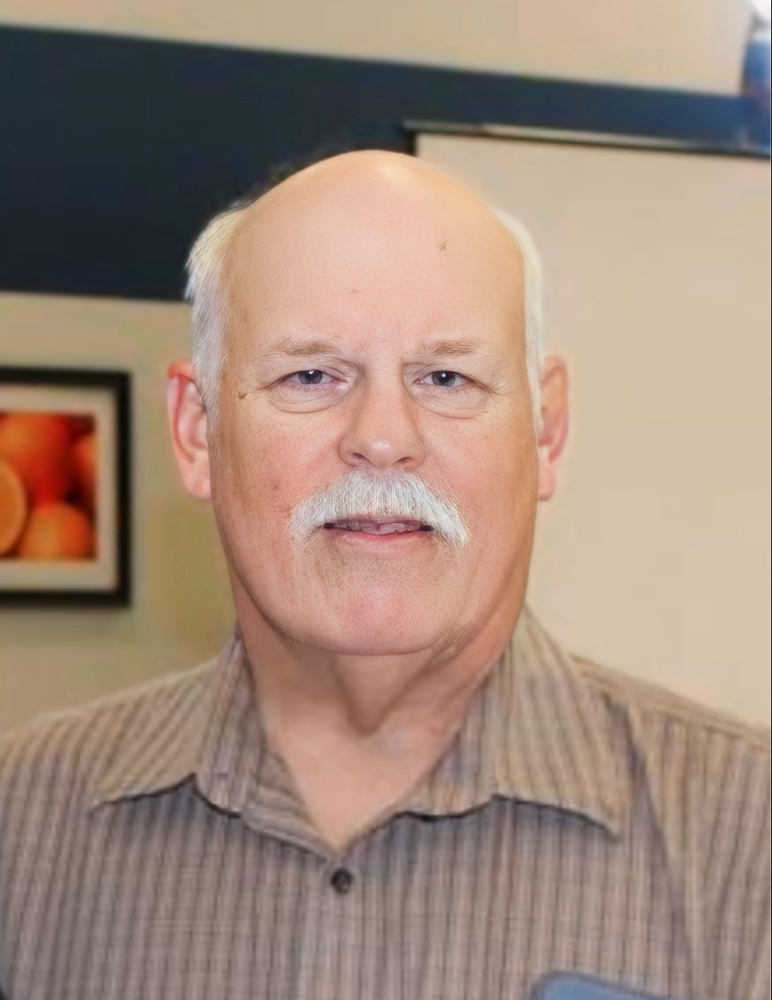 David Hammond - Memories Trees