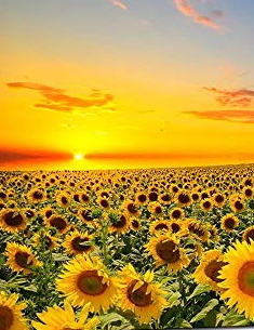 Karen Kay Davis - 2024 - Fitch Denney Funeral Home