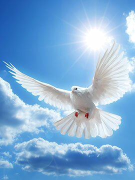 Keith HASLAM - 2012 - Cameron Funeral & Cremation Service